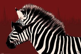 Plakát - Troy (zebra)