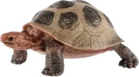 ZOOTED Figurka Želva obrovská / Plast / 8 cm / od 3 let