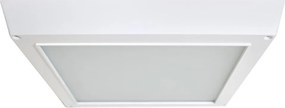 Stropní LED svítidlo Evora Square, 1x LED 20w, 6000k, w