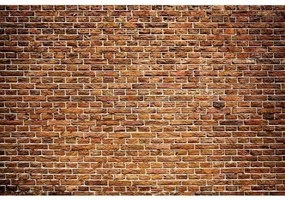 DIMEX | Samolepicí vliesová fototapeta na zeď Stará cihlová zeď MA-5-0167 | 375 x 250 cm | oranžová, hnědá