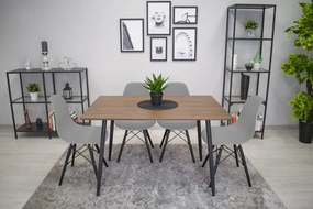 Set dvou jídelních židlí OSAKA šedé (černé nohy) 2ks