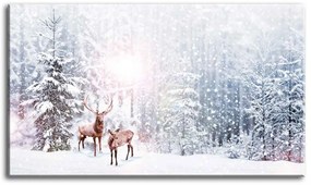 Malvis ® Obraz Jelen v zimě Velikost: 120x70 cm
