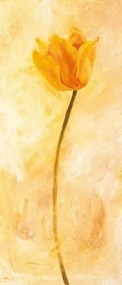 Žlutý tulipán - 10 x 35 cm