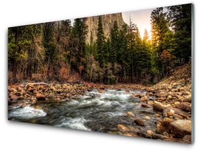 Obraz na skle Les Jezero Příroda 100x50 cm