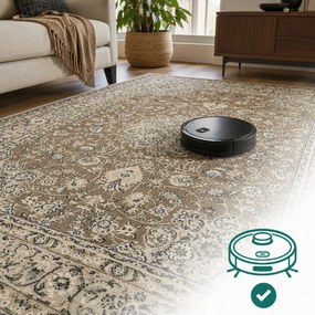 Angel Carpet, Kusový koberec Sultan 42 Beige, 120x170, béžová, kancelář
