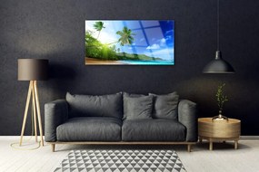 akrylový obraz Pláž Moře Palma Krajina 100x50 cm