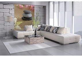DIMEX | Vliesová fototapeta na zeď Zahrada Zen MS-2-0117  | 150 x 250 cm | béžová, šedá, růžová, žlutá