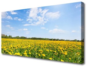 Obraz na plátně Pampeliška Krajina 125x50 cm