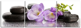 Obraz na plátně - Lávové kameny a fialové květy - panoráma 563C (120x40 cm)
