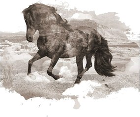 Plakát Horse
