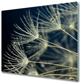 Skleněná krájecí deska Pampeliška semena 60x52 cm