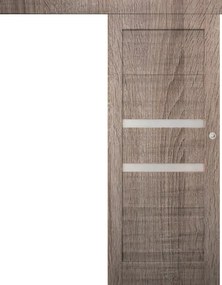 posuvné interiérové dveře na stěnu vasco doors EVORA model 3 Průchozí rozměr: 70 x 197 cm, Orientace dveří: Levé dveře, Dekor: Dub šedý