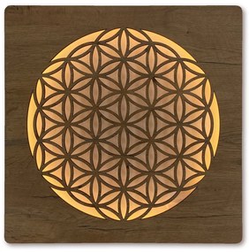 Li-Go "Květ života" světelný obraz 230V 62x62cm provedení povrchu: dub světlý