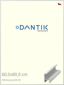 DANTIK rámeček 60x80 | ALU profil 6030 Bílá matná (Plexi Čiré)