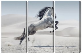 Vícedílný obraz Kůň V Poušti 3D Nedostatek Nedostatek Přírodní plátno 120x80