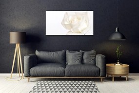 Plexisklo-obraz Růže Květiny 100x50 cm