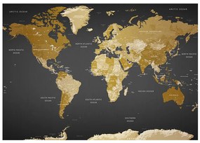 Samolepící fototapeta - Mapa světa: Moderní geografie 441x315