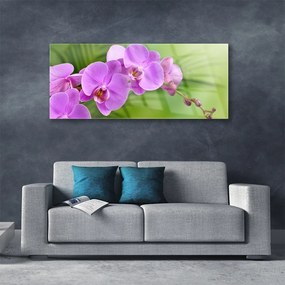 Plexisklo-obraz Vstavač Orchidej Květiny 125x50 cm