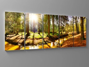 Liox Obraz řeka v lese Rozměr: 150 x 60 cm