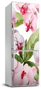 Wallmuralia Nálepka fototapeta na ledničku Orchidej 60x180 cm