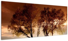 Obraz přírody (100x40cm)