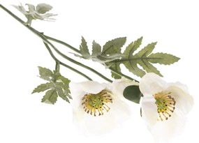 Umělá květina Vlčí mák 65 cm, bílá