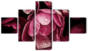 Vícedílný obraz Pivoňka Květiny Zblízka 3D Nedostatek Nedostatek Plátno Canvas 200x120