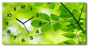 Wallmuralia Skleněné hodiny na stěnu tiché Zelené listí 60x30 cm