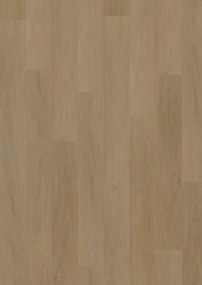 Oneflor, Vinylová podlaha lepená ECO 55 064 English Oak Honey - dub, 1219,2 x 184,1 mm
