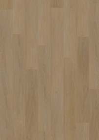 Oneflor Vinylová podlaha lepená ECO 55 064 English Oak Honey - Lepená podlaha