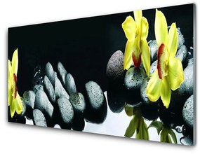 Obraz na skle Květ Kameny 140x70 cm