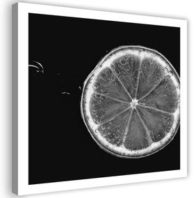 Obraz na plátně Černá Bílá Lemon - 40x40 cm