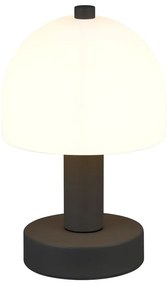 Černo-bílá stolní lampa se skleněným stínidlem (výška 19 cm) Glenn – Trio