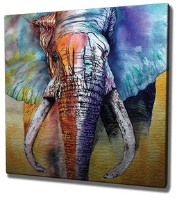 Obraz na plátně Elephant ethno KC306 50x70 cm