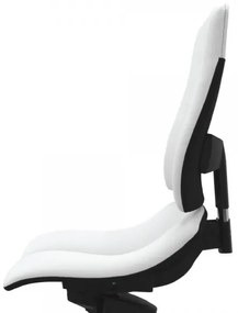 Zdravotní židle Steel Standard / černá