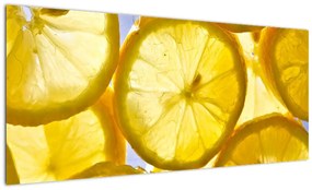 Plátky citrónů - obraz (100x40cm)