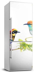 Wallmuralia Samolepící nálepka na ledničku stěnu Ptáci 60x180 cm