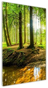 Wallmuralia Vertikální Foto obraz skleněný svislý Pramen v lese 50x100