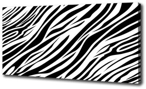 Wallmuralia Foto obraz canvas Zebra pozadí 100x50