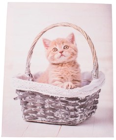 Obraz na plátně Kittie in basket, 30 x 40 cm