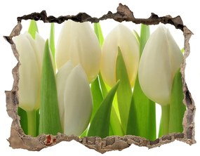 Wallmuralia Samolepící nálepka fototapeta Tulipány 95x64 cm