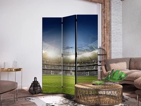 Football Stadium - Turf and Stands Before the Game [Room Dividers]