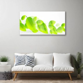 Plexisklo-obraz Listy Květiny Příroda 100x50 cm