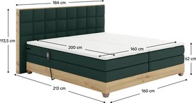 Elektrická polohovací postel, boxspring, zelená/dub artisan, 160x200, TIANA
