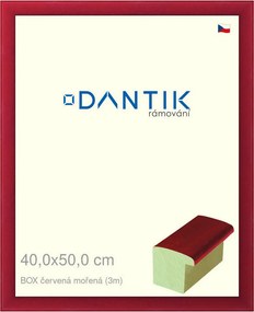 DANTIK rámeček 40x50 | BOX červená mořená (Sklo Čiré)