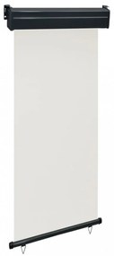 Balkonová zástěna 100x250 cm Dekorhome