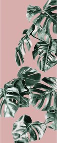 Komar Vliesová fototapeta Monstera Rosé 100 x 250 cm