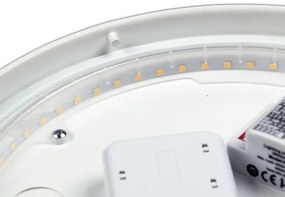 LED svítidlo McLED Cala 12D 12W IP44 2700K teplá bílá, s pohybovým čidlem ML-411.221.32.0