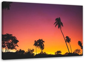 Obraz na plátně Palmy Západ slunce Moře - 90x60 cm