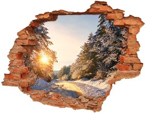 Wallmuralia Nálepka fototapeta 3D Cesta v lese zima 90x70 cm
